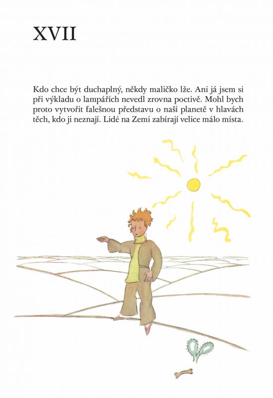 Kniha Malý princ | BeWooden