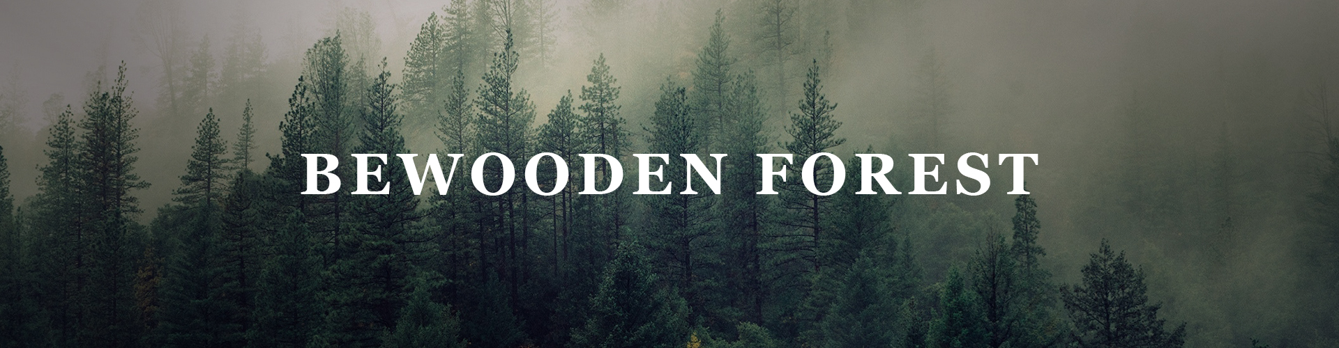 BW forest | BeWooden